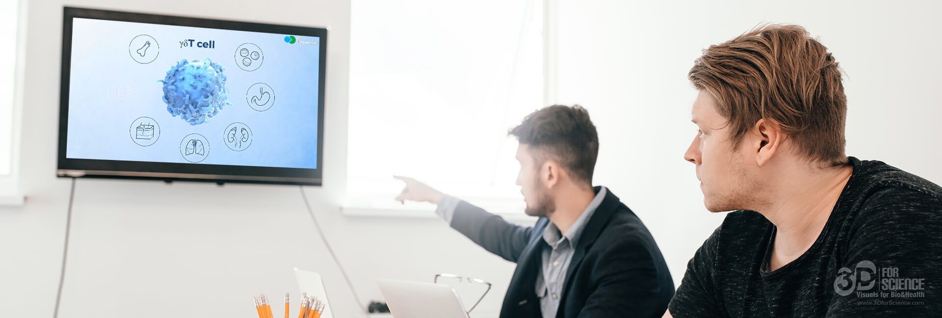 3D animation as an educational tool | 3DforScience